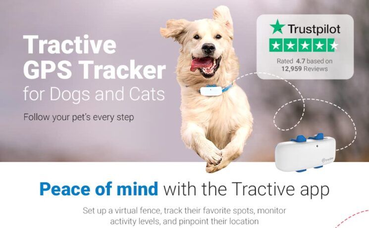 Tractive GPS Dog Tracker - SpyCamCentral