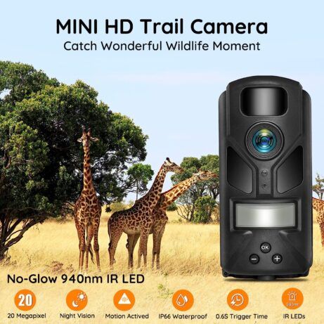 Outdoor Expert Mini Trail Camera - SpyCamCentral
