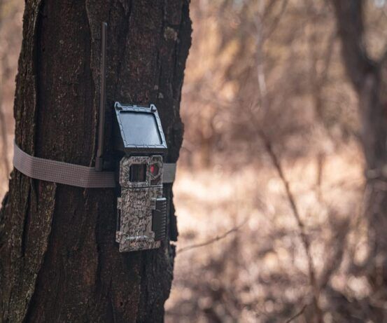 Spypoint Wireless Cellular Trail Cam - SpyCamCentral